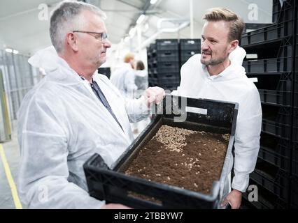 Northern Europe's largest insect factory - Enorm Biofactory, which will ...