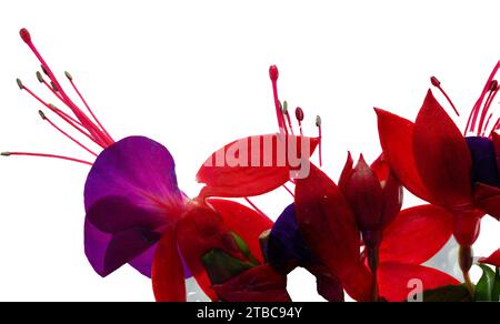 Objects Things Different Isolated Against White Background Stock Photo ...