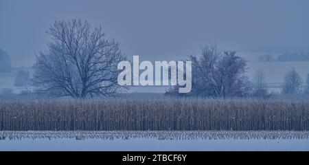 Winter landscape after the first snowfall Stock Photo - Alamy