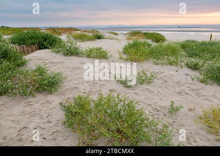 Utah beach, Pouppeville, La Madeleine, Calvados, Basse-Normandie ...