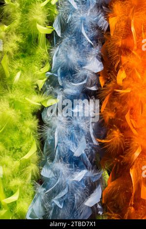 Beautiful bird feathers for decorative purposes Stock Photo - Alamy
