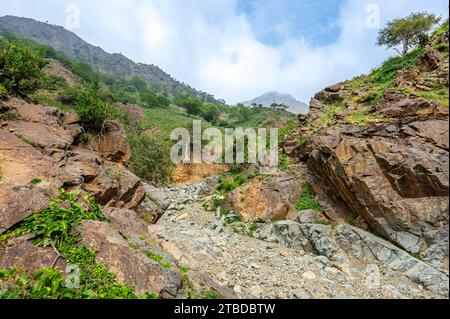A typical wadi valley of the Arabian Peninsula. The area around the ...
