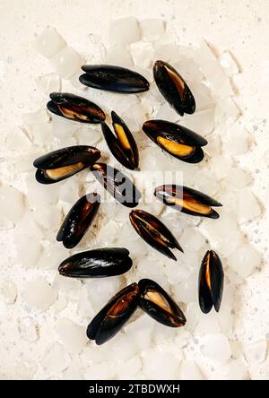 Raw mussels on ice (Selective Focus, Focus on the front of the shell on ...