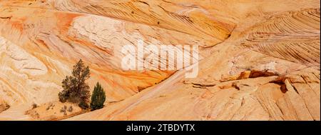 Panoramic photograph of the Yellow Rock area, a sandstone hill that's ...