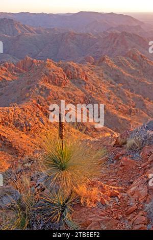 The mountains of Arkaroola Wilderness Sanctuary at sunrise Stock Photo ...