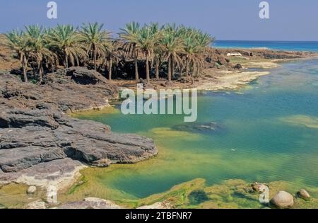 Hadibu , also known as Hadiboh, formerly known as Tamrida is a coastal ...