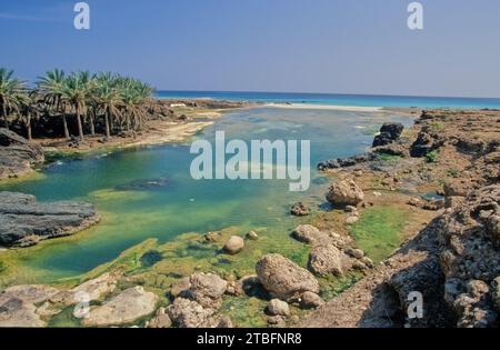 Hadibu , also known as Hadiboh, formerly known as Tamrida is a coastal ...