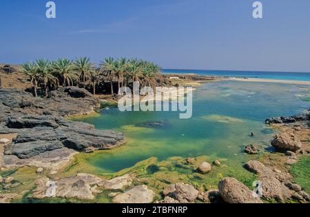 Hadibu , also known as Hadiboh, formerly known as Tamrida is a coastal ...