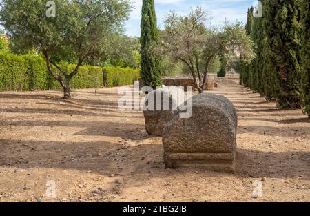 Dirt road between stone Roman tombstones and mausoleums and cypress ...