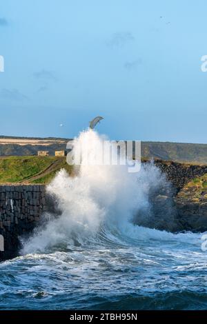 Portsoy Harbour Dolphin Sculpture, Scotland Stock Photo - Alamy