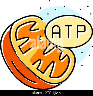 cellular respiration biochemistry line icon vector illustration Stock ...