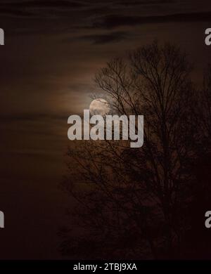 Harvest moon rising in northern Wisconsin Stock Photo - Alamy