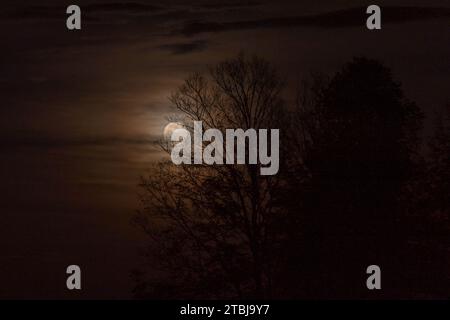 Harvest moon rising in northern Wisconsin Stock Photo - Alamy