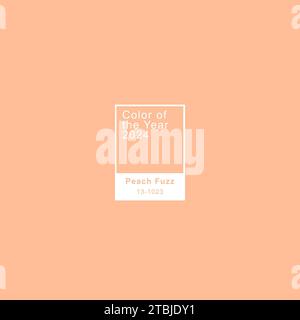 Color of the year 2024 peach fuzz. Trendy colors concept, mockup with ...