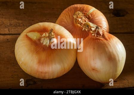 Whole, raw yellow onions, sometimes called Amish Candy Onions from ...