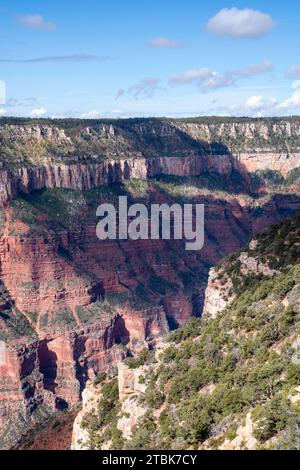 Photograph of the spectacular Grand Canyon, taken from the Bright Angel ...