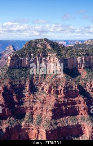 Photograph of the spectacular Grand Canyon, taken from the Coconino ...