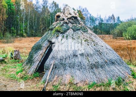 Reconstruction of a Stone Age hut made of reeds at a wetland, Sweden ...