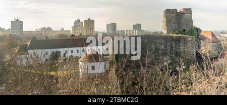 Ruins of the Levice Castle. Levicky hrad, Slovakia Stock Photo - Alamy