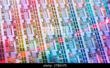 background of silicon wafer semiconductor with neon color, integrated ...
