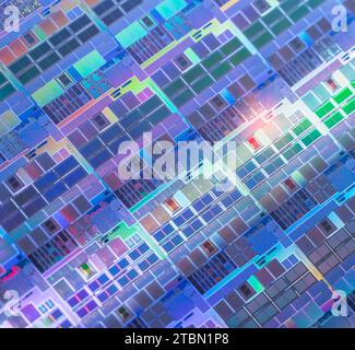 background of silicon wafer semiconductor with neon color, integrated ...