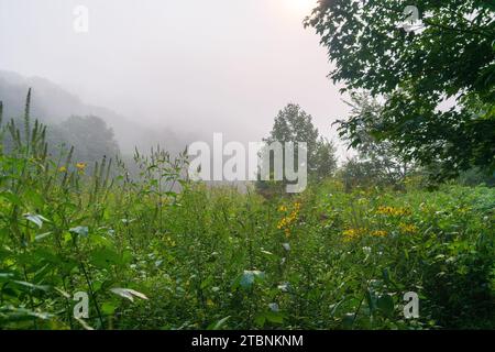 An Overlook with Fog at Cuyahoga Valley National Park in Ohio Stock ...