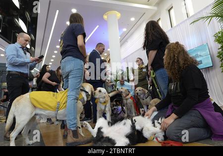 Therapy dogs with their trainers at Sheba Medical Center's Rehab ...