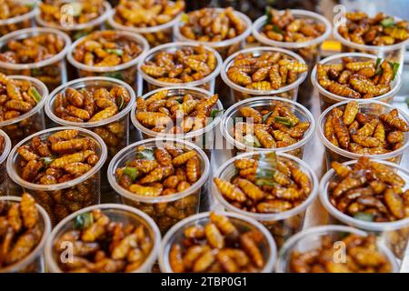 Deep fried silkworms chrysalis at street food Stock Photo - Alamy