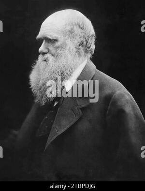 Charles Darwin Date: c. 1868, printed 1875 Artist: Julia Margaret ...