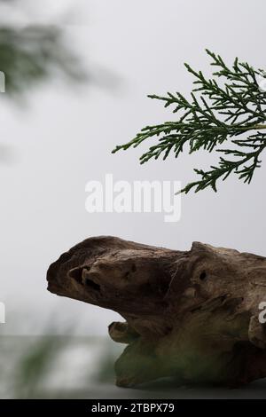 Product backdrop designs, Product showcase backdrop, Product ...