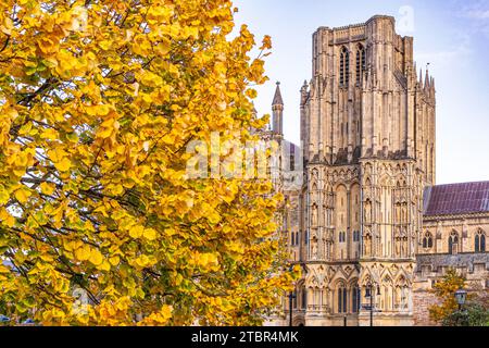 Autumn colours at Wells Cathedral, Wells, Somerset, England UK Stock ...