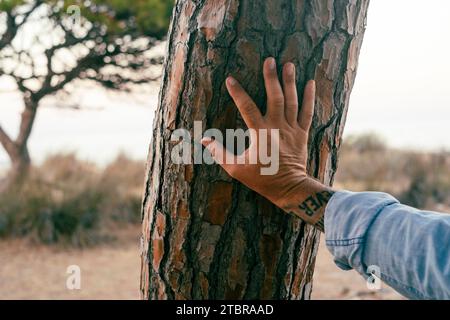 Nature lover hugging trunk tree with green musk in tropical woods ...