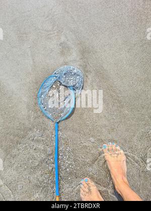 A shell lies on the sandy beach next to the sea. A nice reminder of the ...
