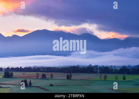 Morning atmosphere in the autumnal moor, Schönenberg, Canton Zurich ...