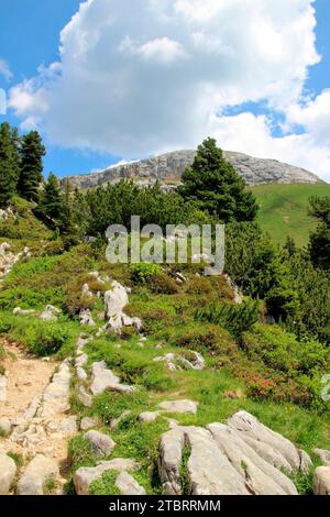 summer hike to the Rofanspitze, Achensee region, Rofan, Rofan mountains ...