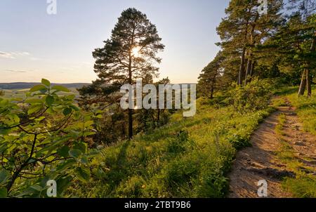 Grainberg-Kalbenstein Nature Reserve on the Main River near Karlstadt ...