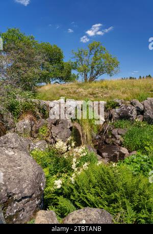 The waterfall at the Eisgraben in the Hohe Rhön nature reserve, Rhön ...