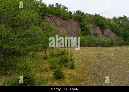 Former basalt quarry in the Schwarze Berge nature reserve near the ...