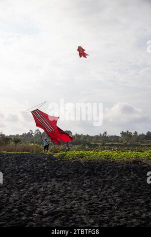 Traditional kites in the sky. Beautiful tropical landscape in Bali ...