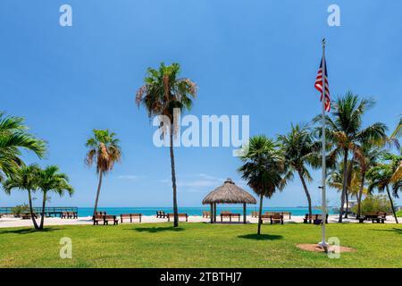 Palm trees in beach state park in tropical island in Key Largo, Florida ...