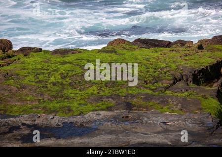La Jolla California ocean views of rocks and waves Stock Photo - Alamy