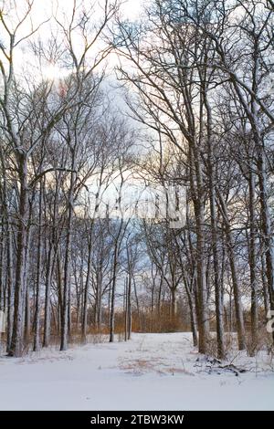 Sunrise Fort Wayne Indiana landscape cityscape skyscraper downtown ...