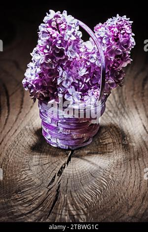lilac flowers in vintage watering can on wood Stock Photo - Alamy