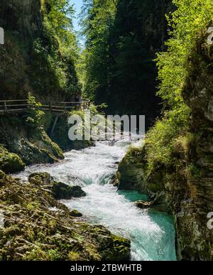 A picture of the Vintgar Gorge, the Radovna Valley river and the ...