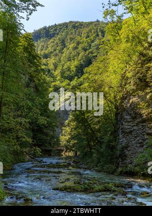 A picture of the Vintgar Gorge, the Radovna Valley river and the ...