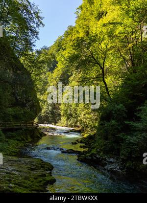 A picture of the Vintgar Gorge, the Radovna Valley river and the ...