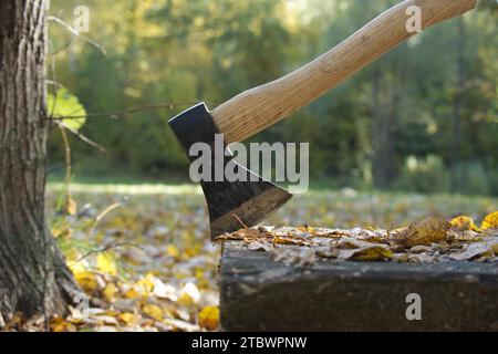 Close up detail camping axe view Stock Photo - Alamy