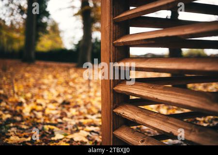 Wooden Arbor Amidst Autumn Leaves Stock Photo - Alamy