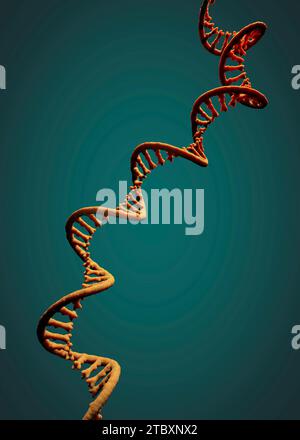 Messenger RNA strand ,illustration Stock Photo - Alamy