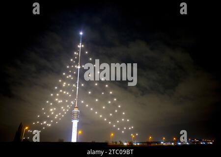 IJSSELSTEIN - The lights in the 'largest Christmas tree in the ...